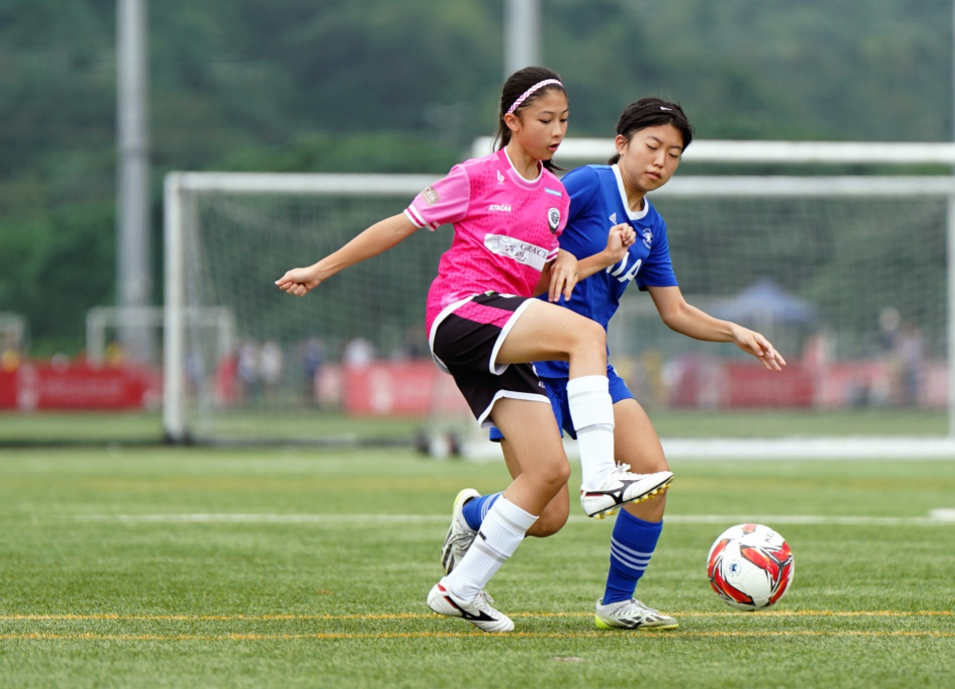 The Football Association of Hong Kong, China Limited