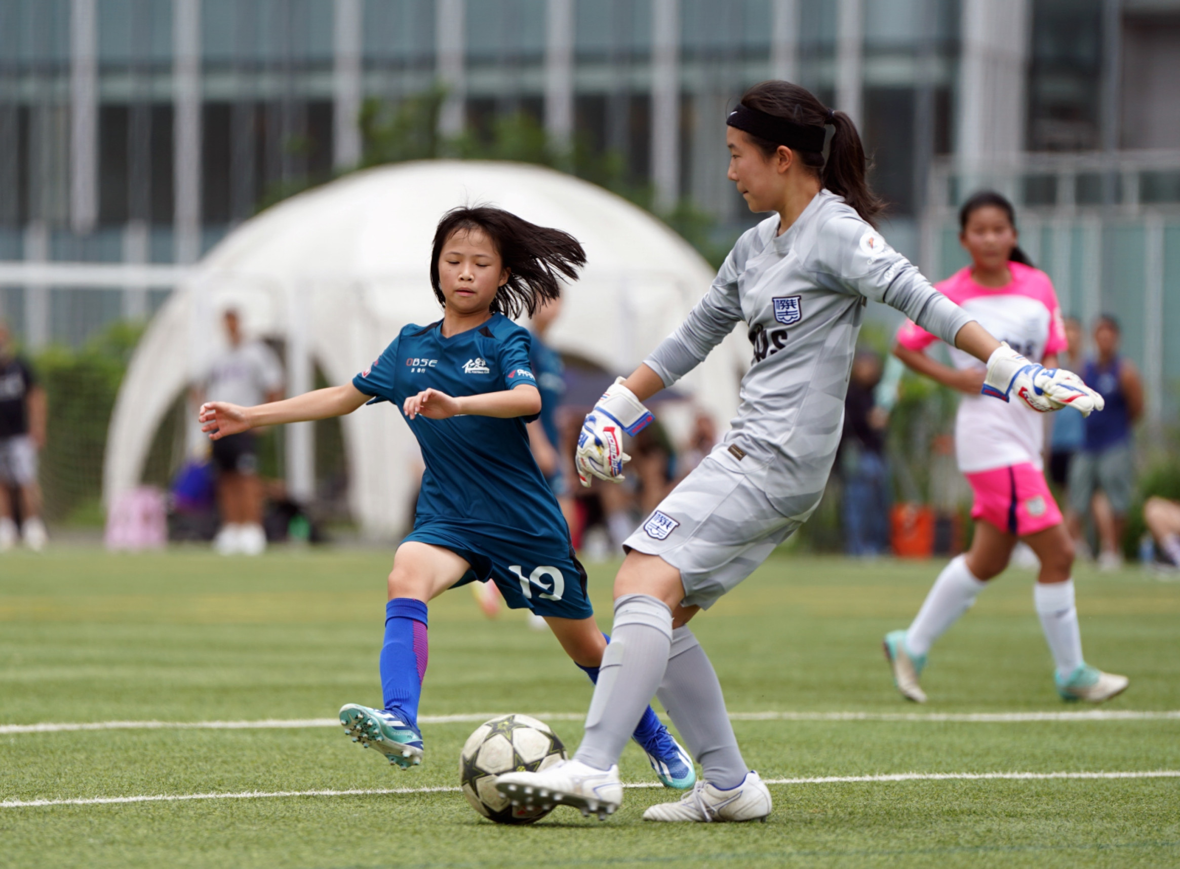 The Football Association of Hong Kong, China Limited
